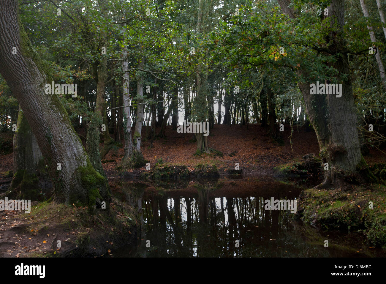 New england ponds hi-res stock photography and images - Alamy