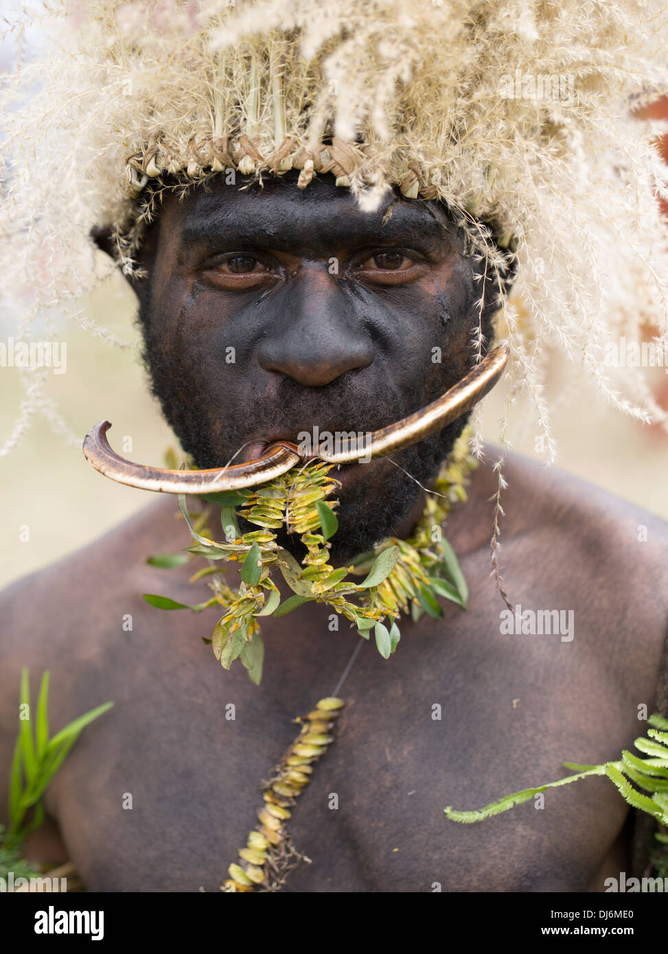 Papua new guinea man male guy body paint painted face hi-res stock ...