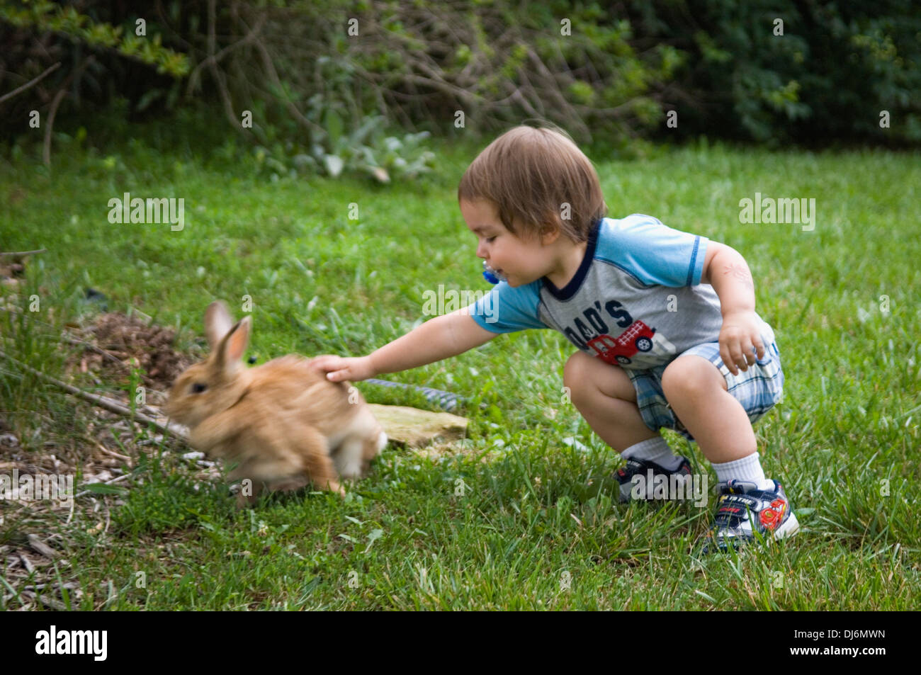 Child petting pet rabbit hi-res stock photography and images - Alamy
