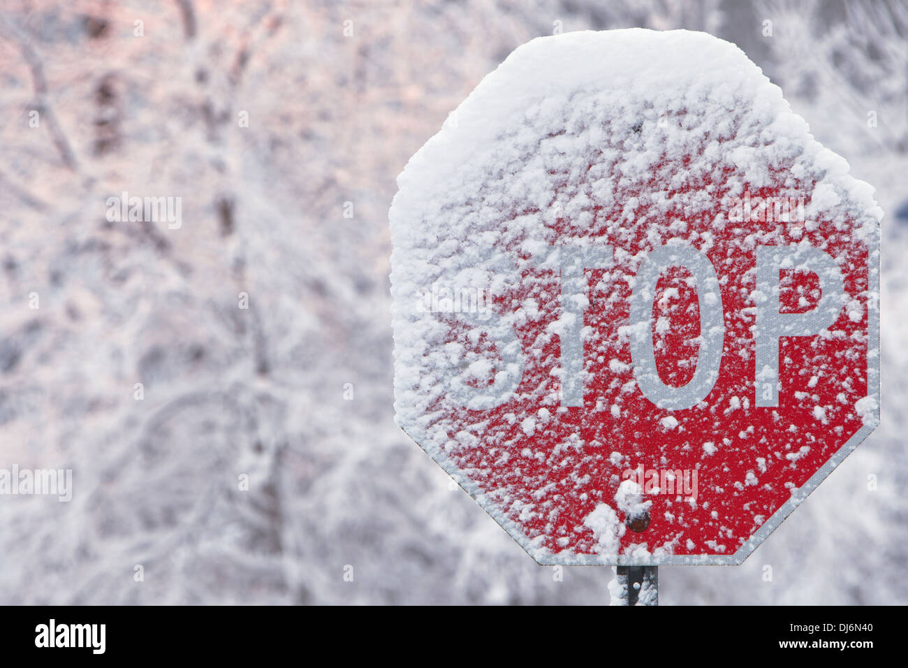Snow covered red and white stop sign hi-res stock photography and ...