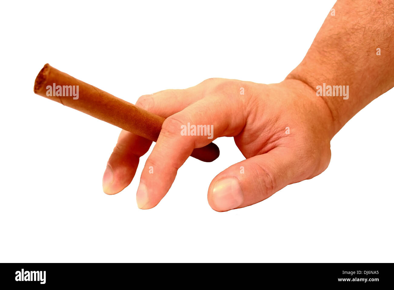Cigar in a hand, hand of man, Cuban cigar Stock Photo - Alamy