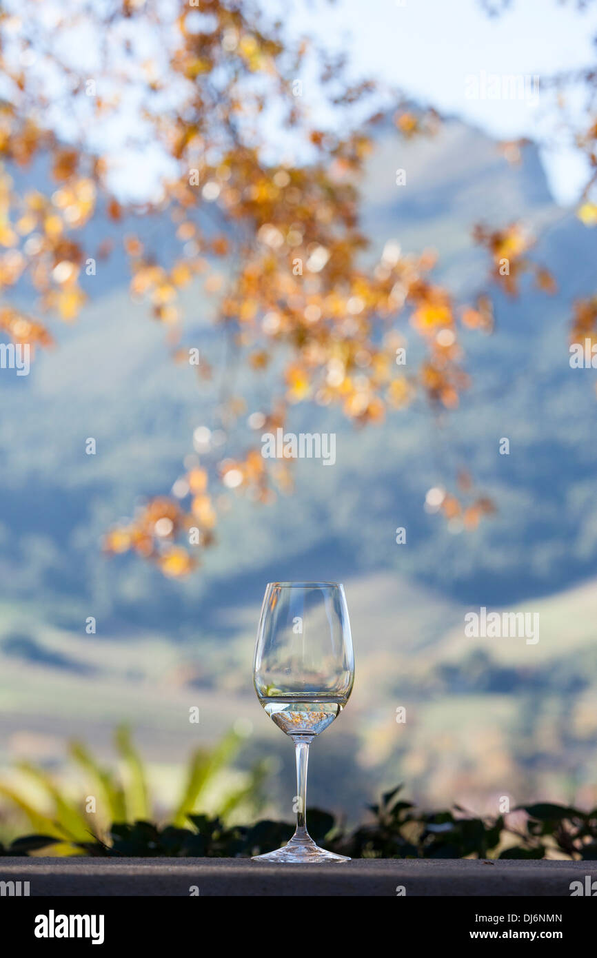 South Africa. Wine Tasting at Delaire Graff Estate Winery, near ...