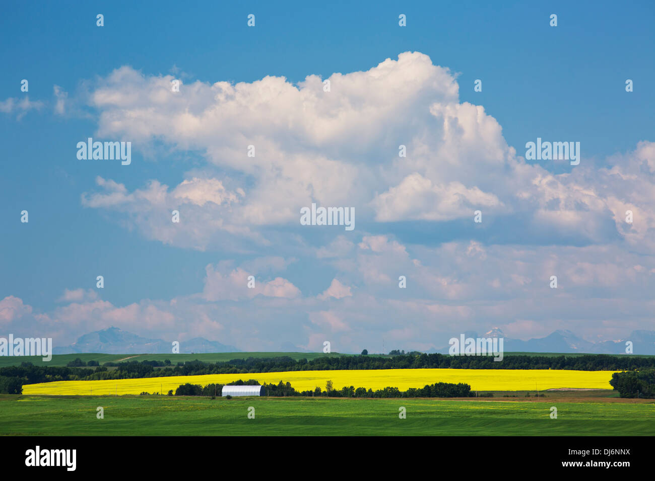 Farmland On The Prairies With The Rocky Mountains In The Distance ...