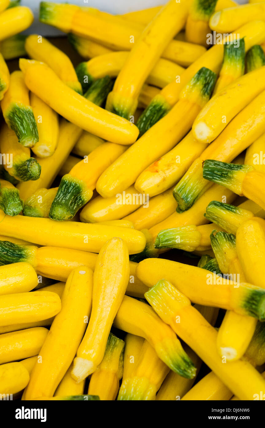 Zucchini squash on sale at a farmers market, courgette, summer squash ...