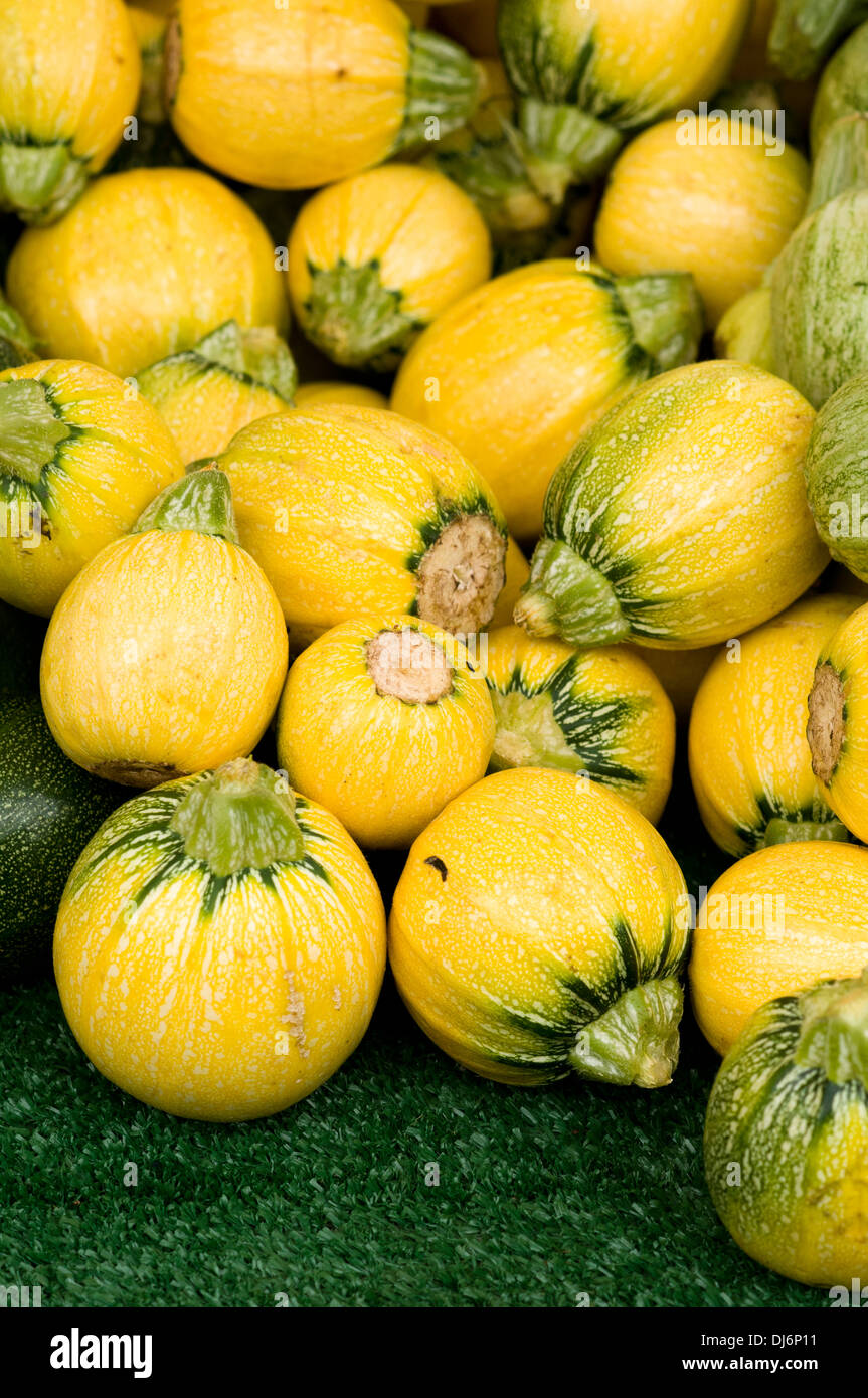 Zucchini squash on sale at a farmers market, courgette, summer squash ...