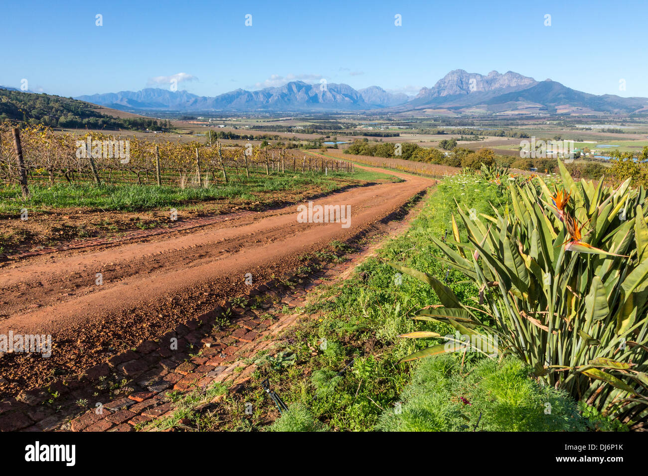 Paarl south africa High Resolution Stock Photography and Images - Alamy