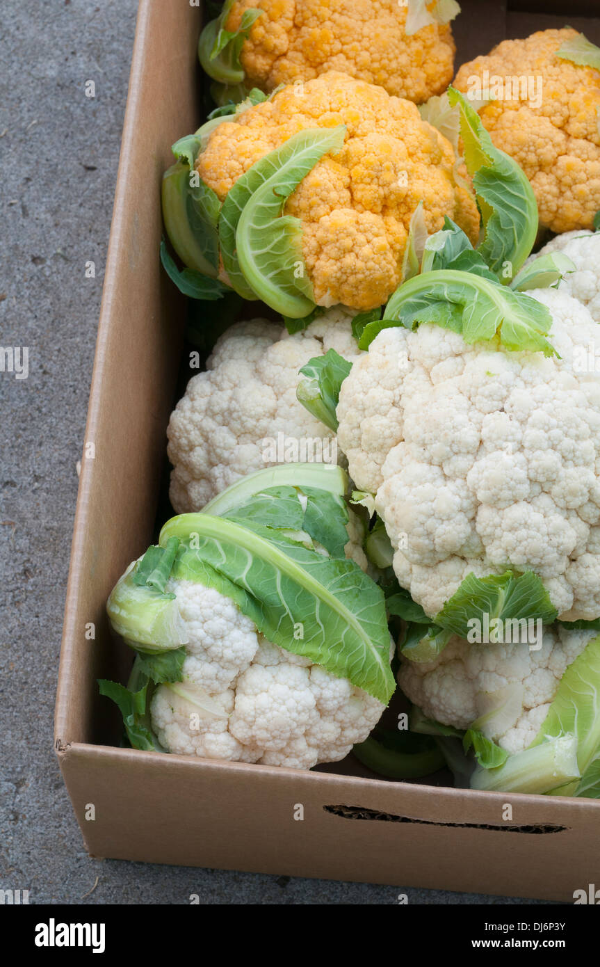 Cauliflower in a box fresh from the farmers market. Produce, orange and ...