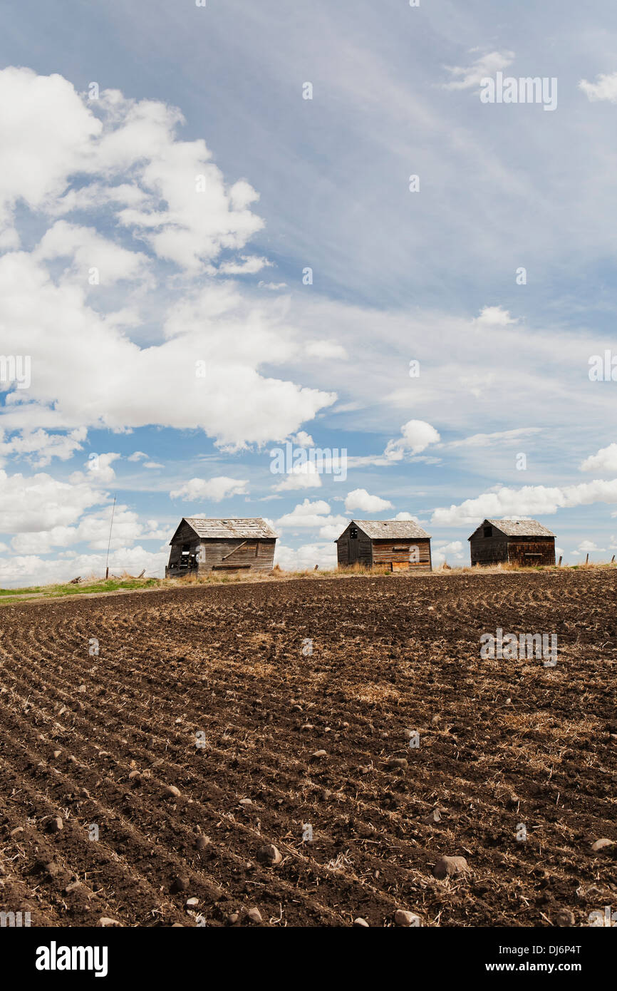 Three Old Wooden Small Barns In A Field With Seeding Rows In The Soil ...