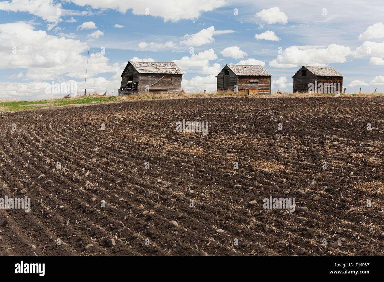 Three Old Wooden Small Barns In A Field With Seeding Rows In The Soil ...