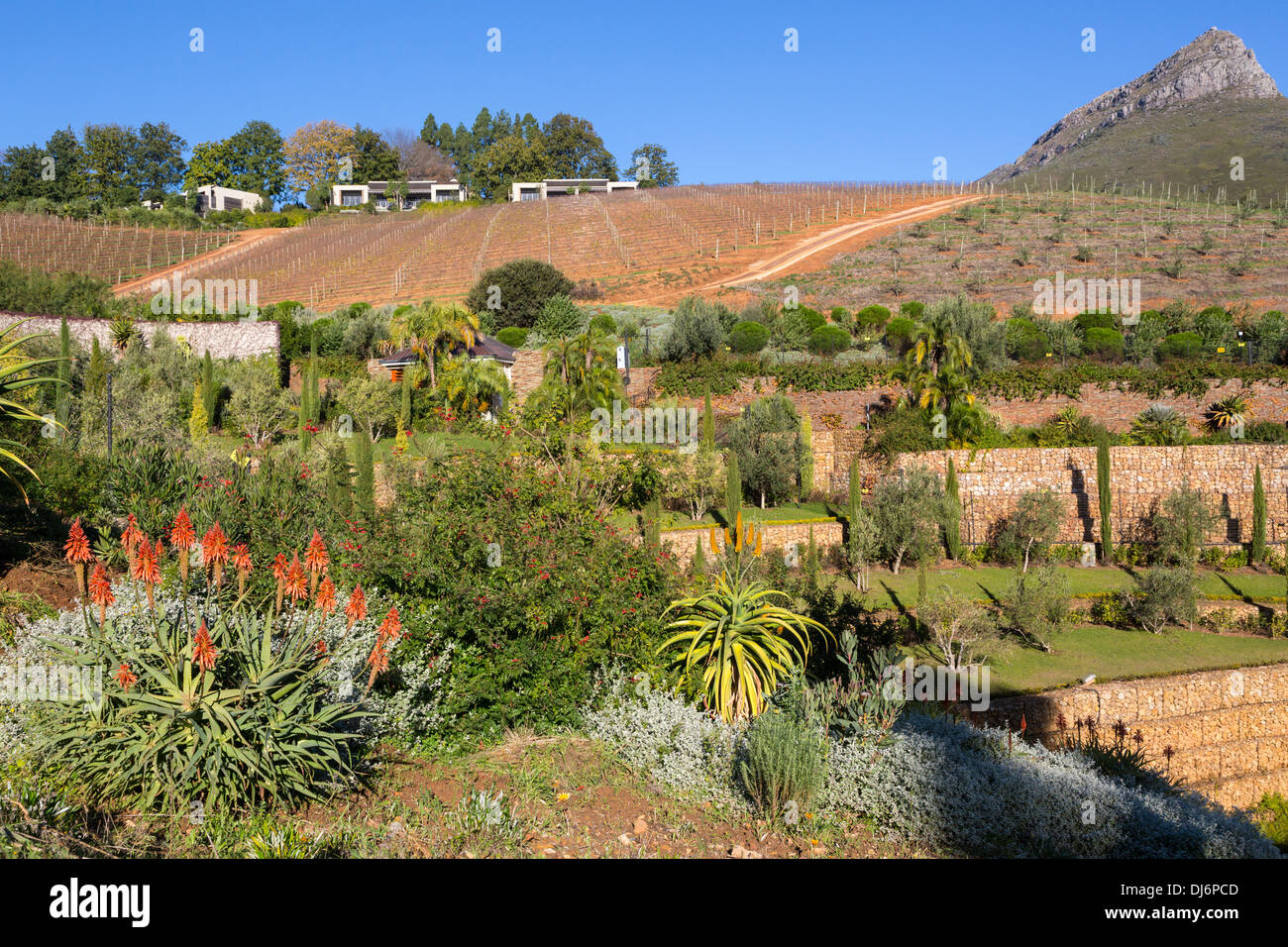 South Africa. Delaire Graff Winery, near Stellenbosch Stock Photo - Alamy