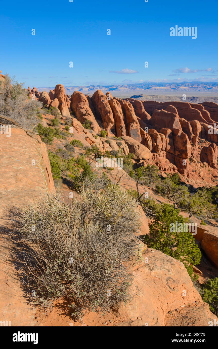 Sandstone Fins, Rock formations, Devils Garden, Arches National Park ...