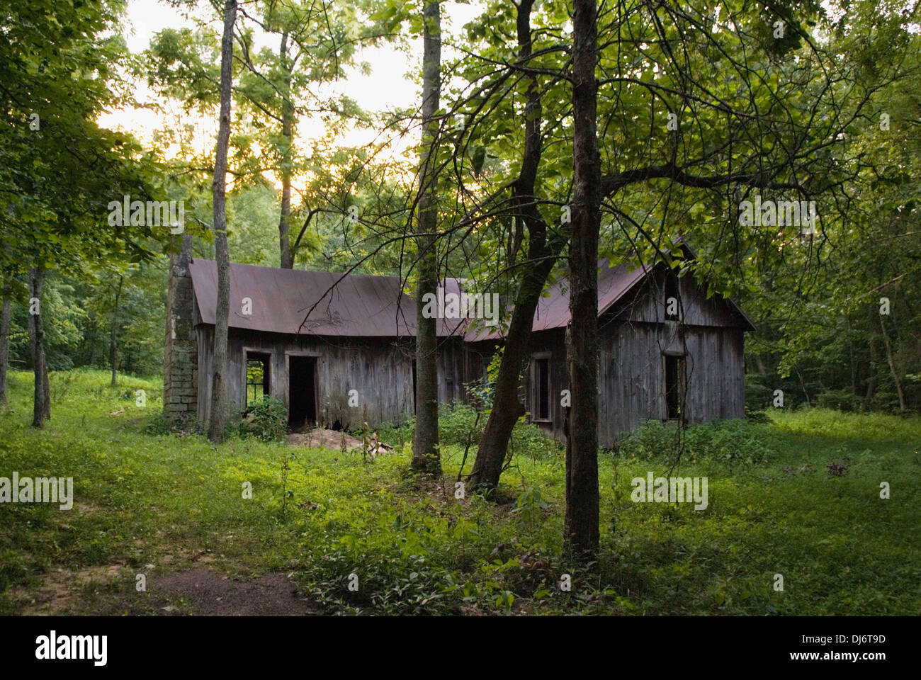 Old Home being Reclaimed by Nature in Hart County, Kentucky Stock Photo ...