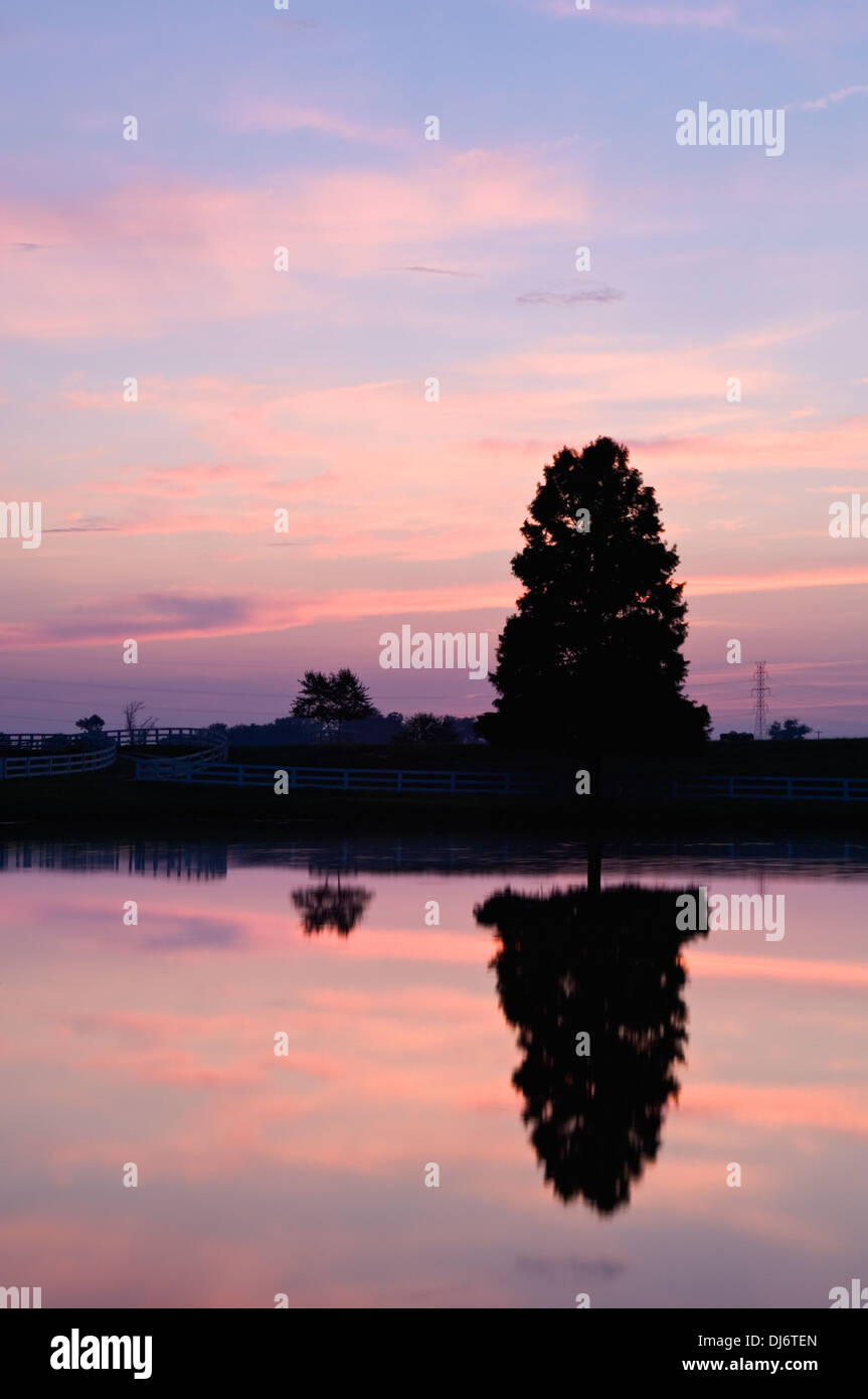 Rural farm pond sunset hi-res stock photography and images - Alamy