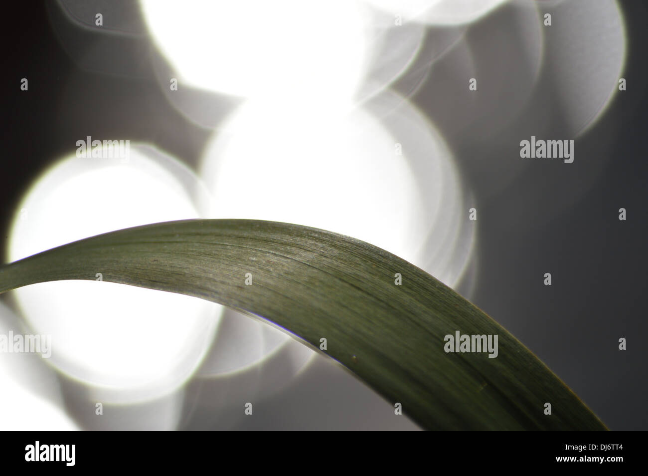 Sunlight refraction hi-res stock photography and images - Alamy