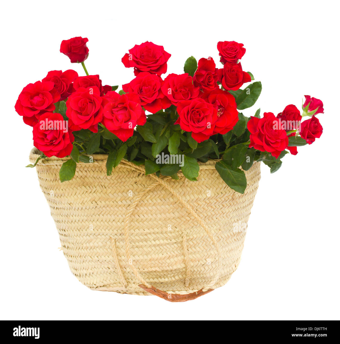 bouquet of red roses in basket Stock Photo - Alamy