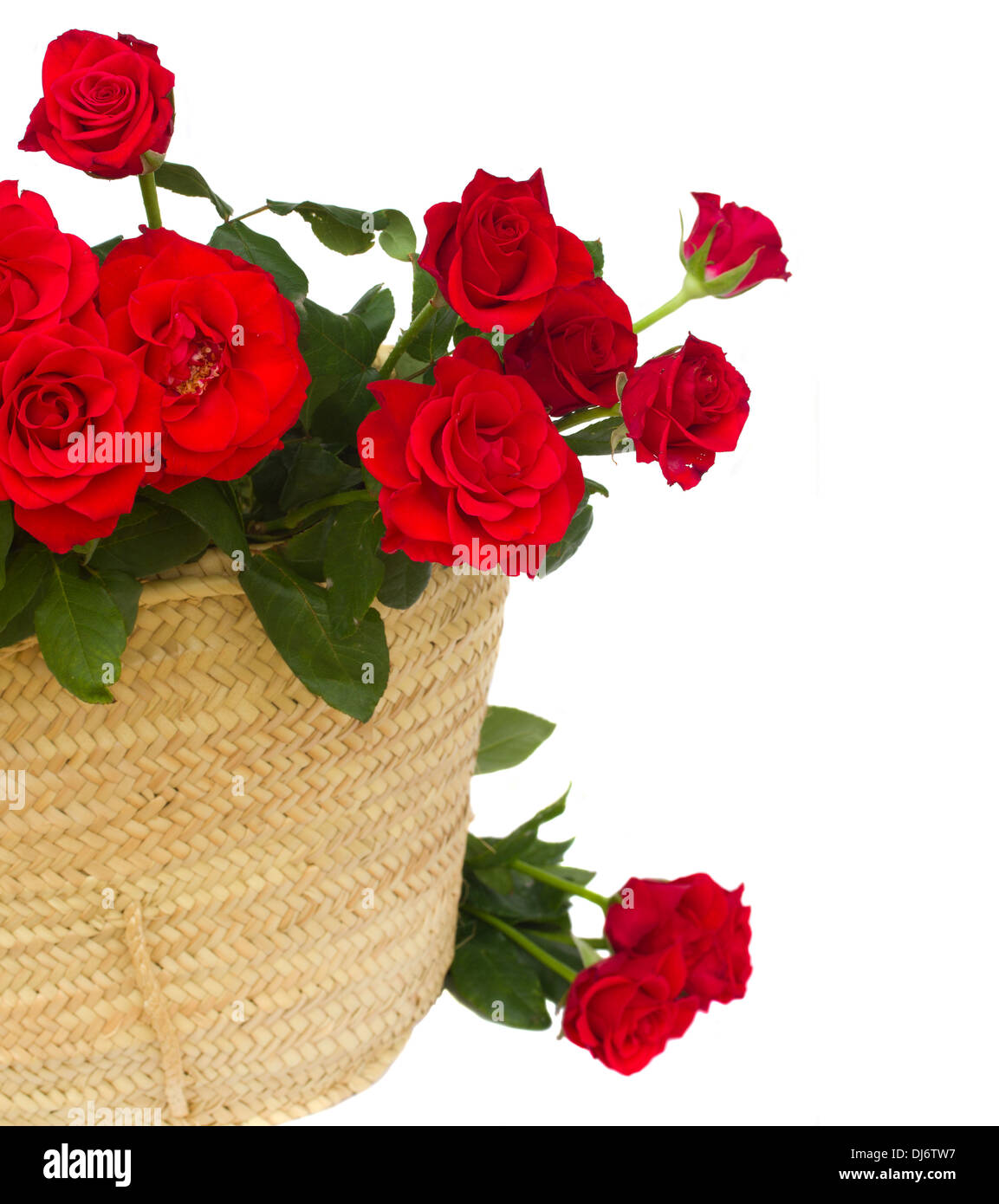bouquet of red roses in basket close up Stock Photo - Alamy