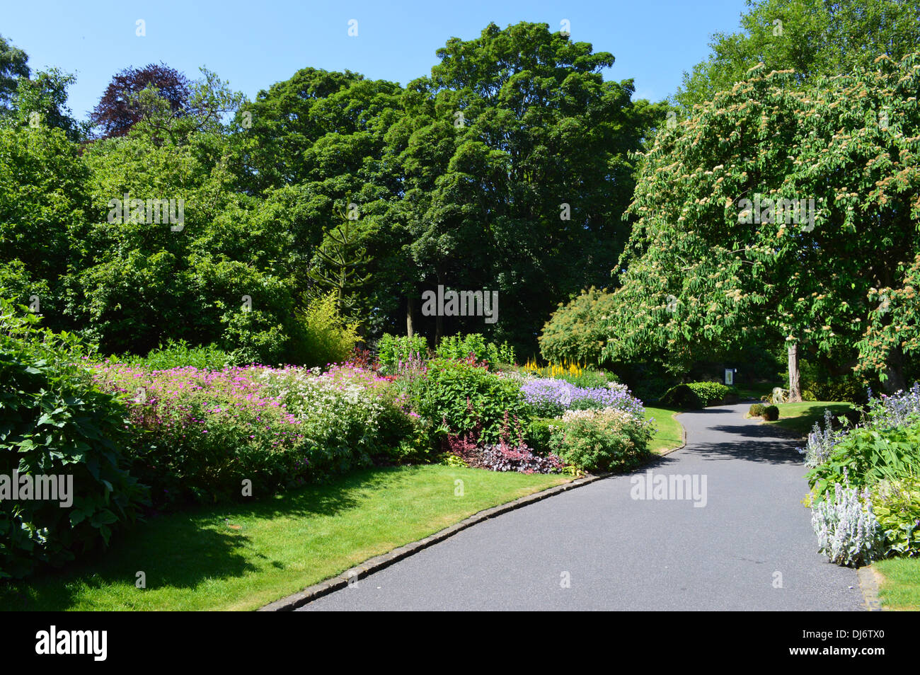 a pathway leads along a stunning border at lister park in bradford ...