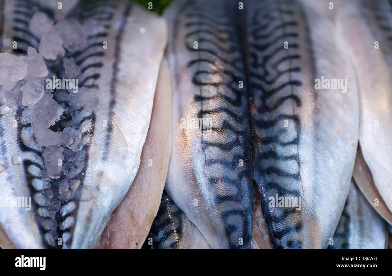 Fish For Sale At Borough Market; London, England Stock Photo - Alamy
