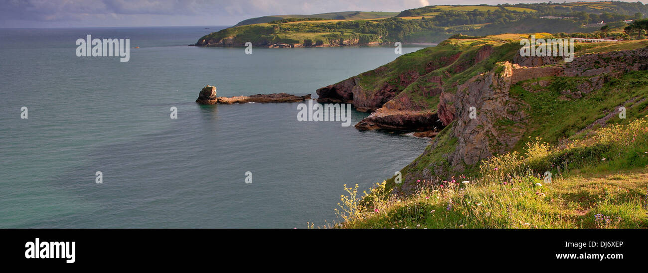 Summer view over St Marys Bay, Berry Head, Devon, England, UK Stock ...