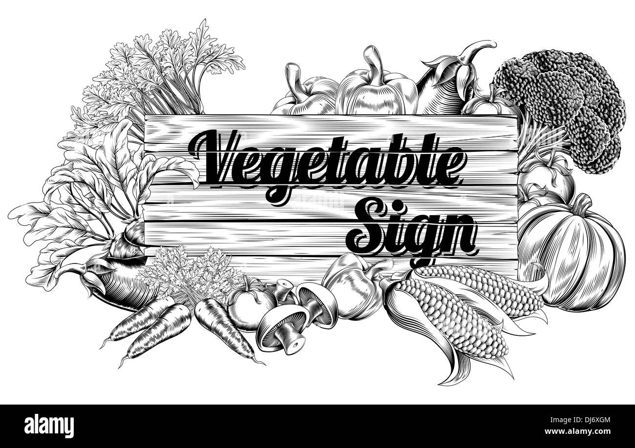 A vintage retro woodcut print or etching style vegetable wooden sign ...