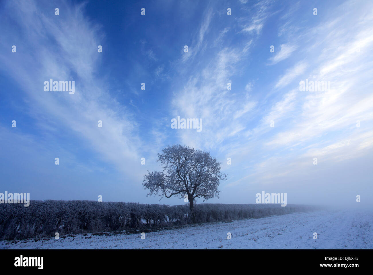 Bulwick village hi-res stock photography and images - Alamy