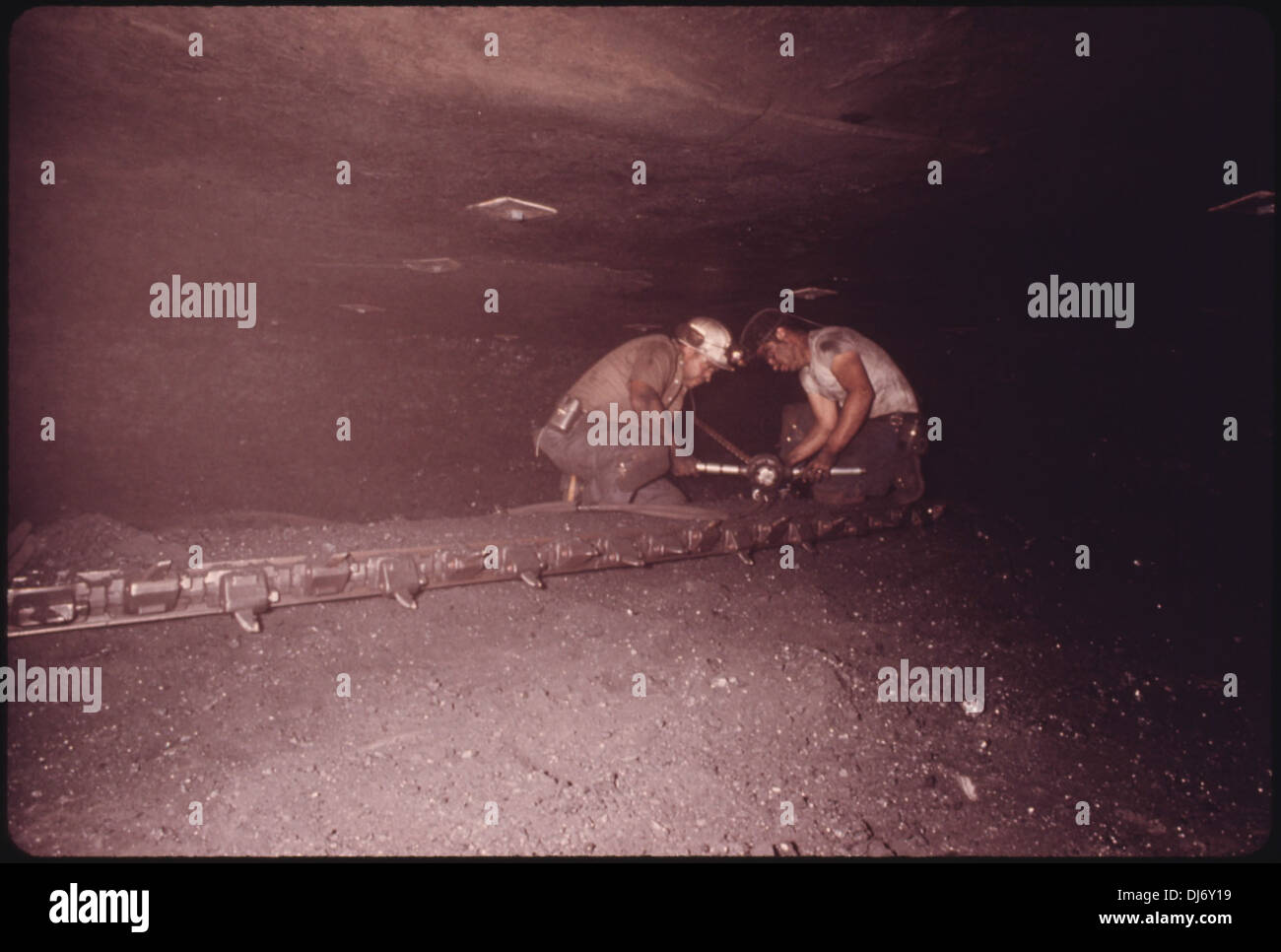 Bill kilgore cutter hi-res stock photography and images - Alamy