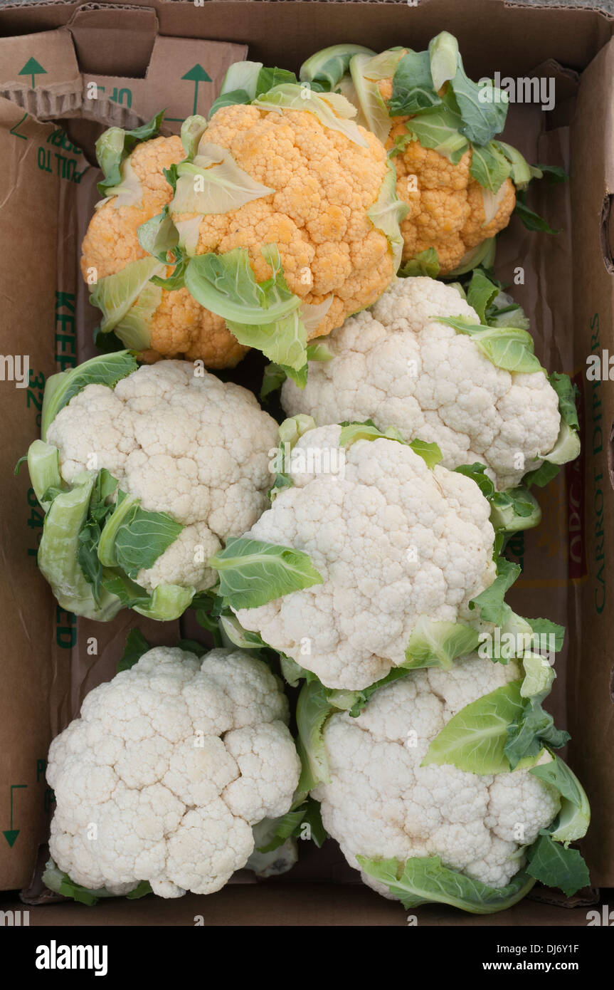 Cauliflower in a box fresh from the farmers market. Produce, orange and ...