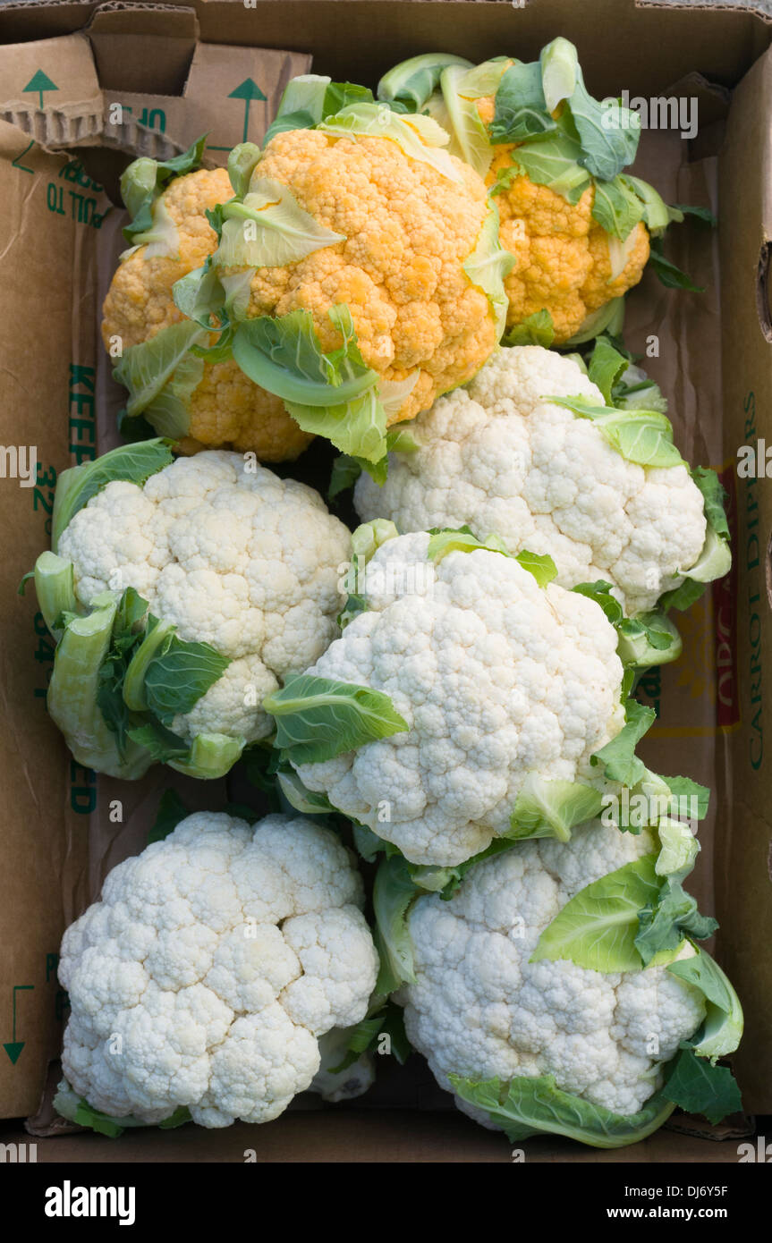 Cauliflower in a box fresh from the farmers market. Produce, orange and ...
