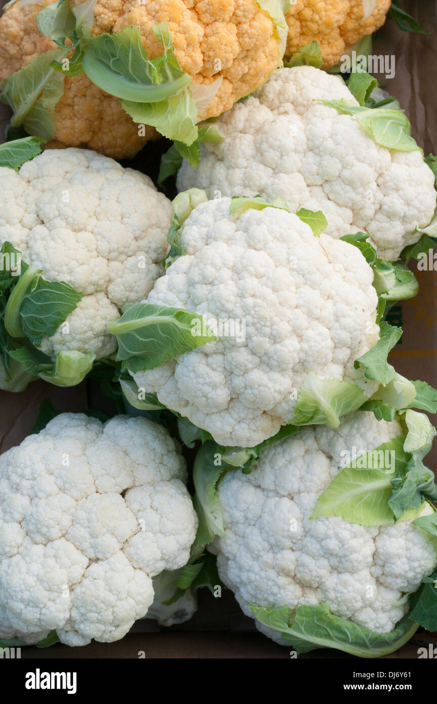 Cauliflower in a box fresh from the farmers market. Produce, orange and ...