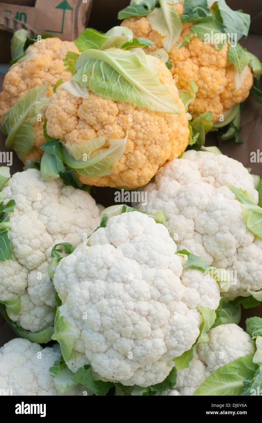 Cauliflower in a box fresh from the farmers market. Produce, orange and ...