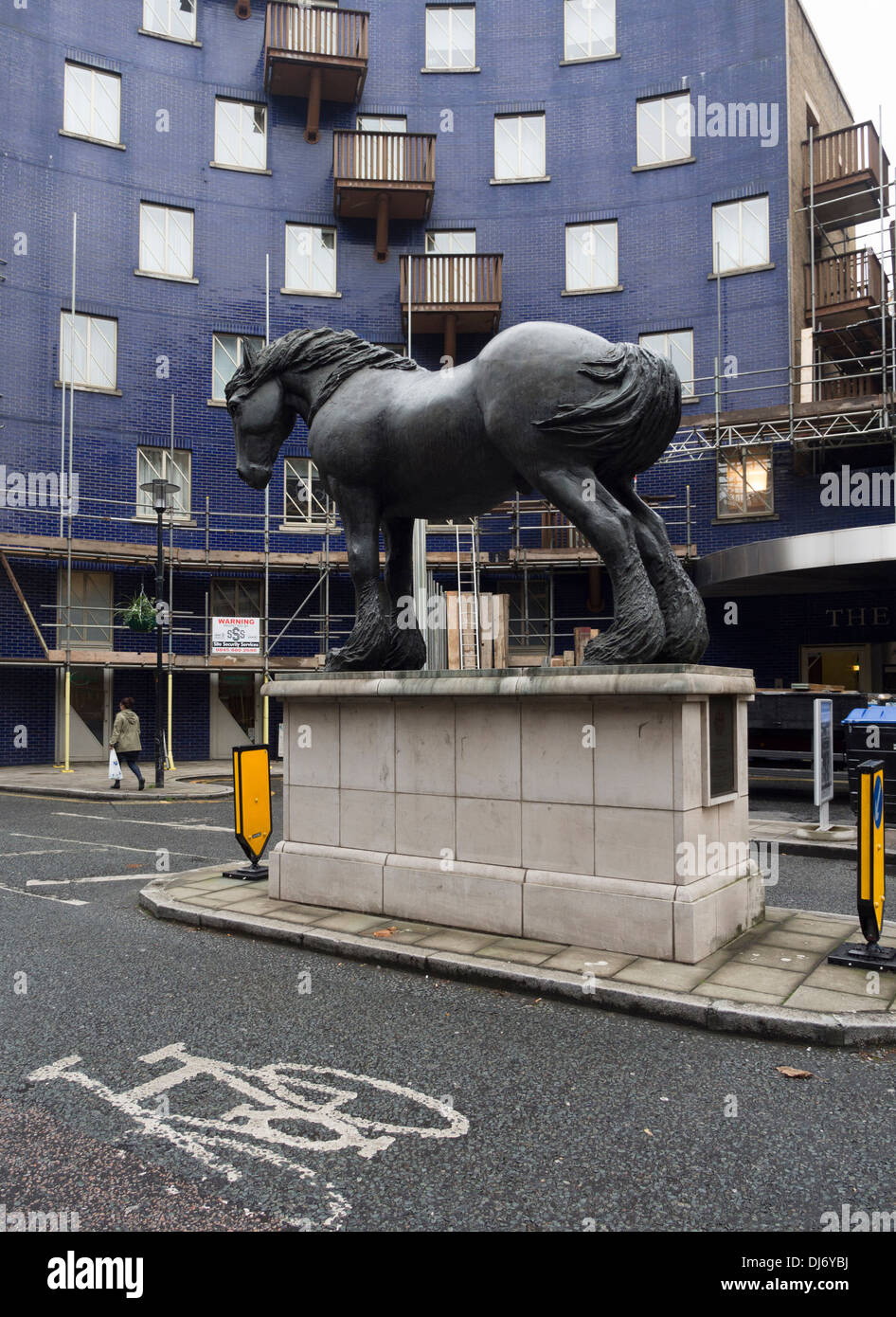 Jacob the dray horse hi-res stock photography and images - Alamy