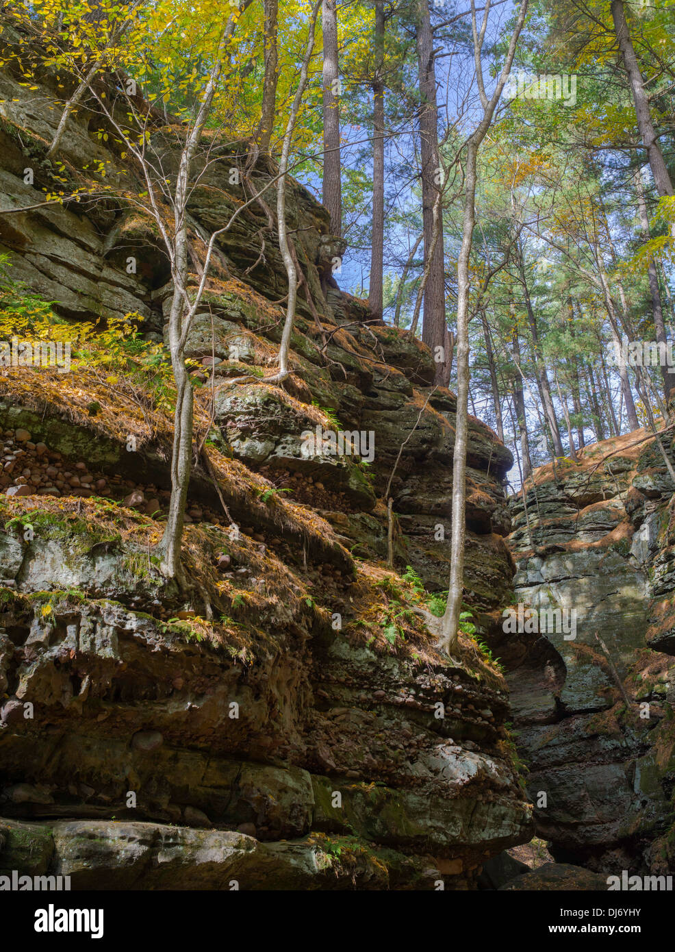 Fall colors are on vivid display at Parfrey's Glen State Natural Area ...