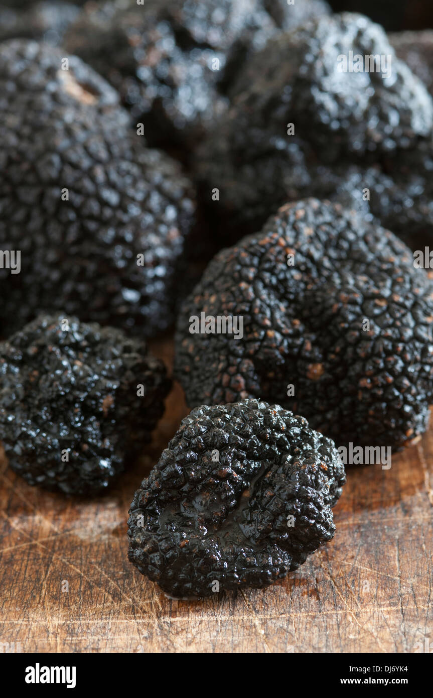 Black Périgord Truffles grown in North Carolina. divine, aromatic and ...