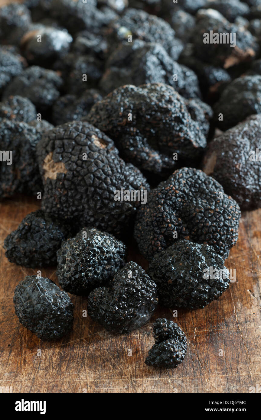 Black Périgord Truffles grown in North Carolina. divine, aromatic and ...