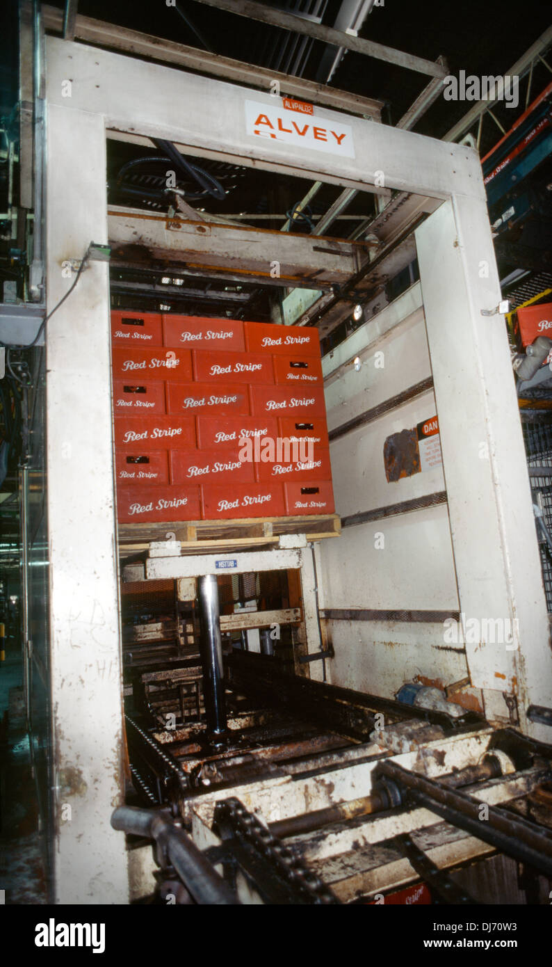 Kingston Jamaica Red Stripe Beer In Crates Being Packaged Ready For ...