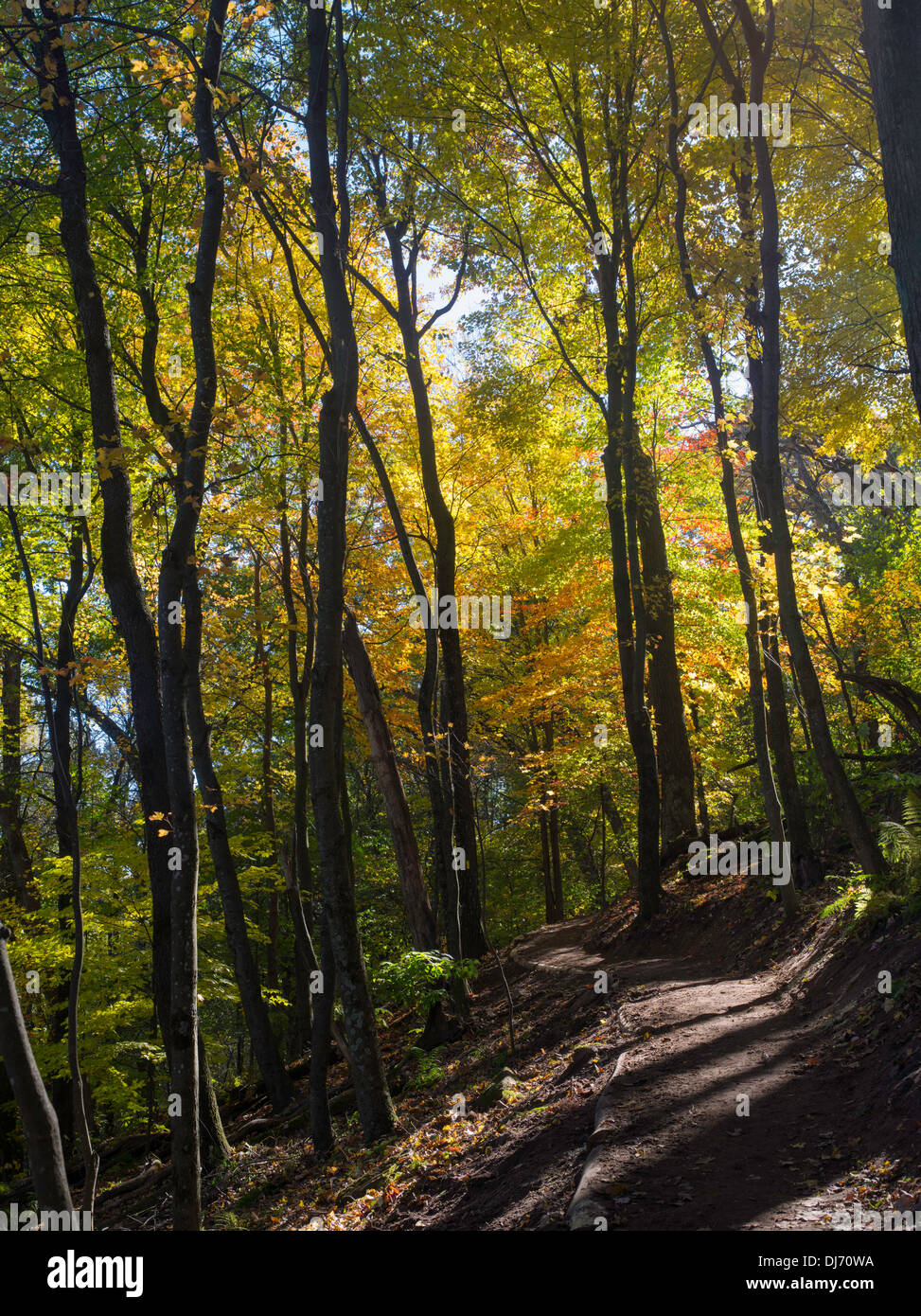 Autumn view of the Ice Age National Scenic Trail, as it winds near ...