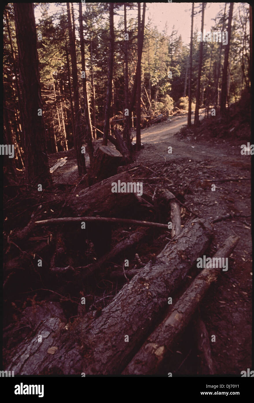 Vintage logging road hi-res stock photography and images - Alamy