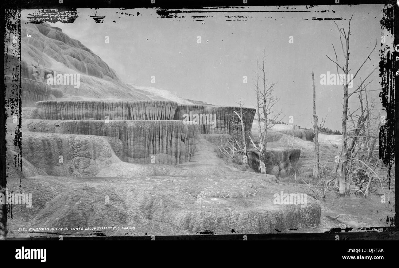 Mammoth Hot Springs, lower group of stalactitic basins. Yellowstone ...