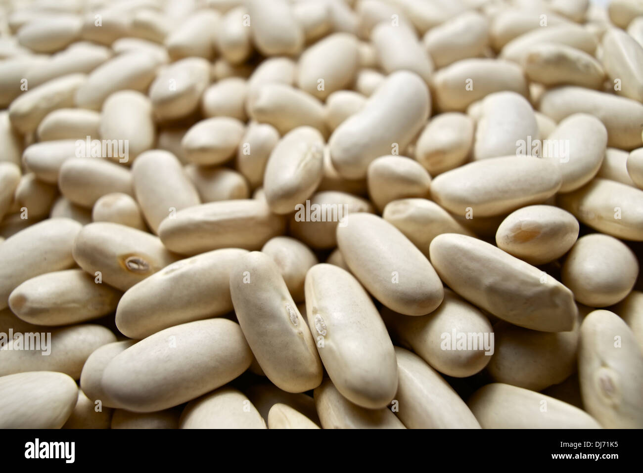 Background crated by white haricot beans group Stock Photo - Alamy
