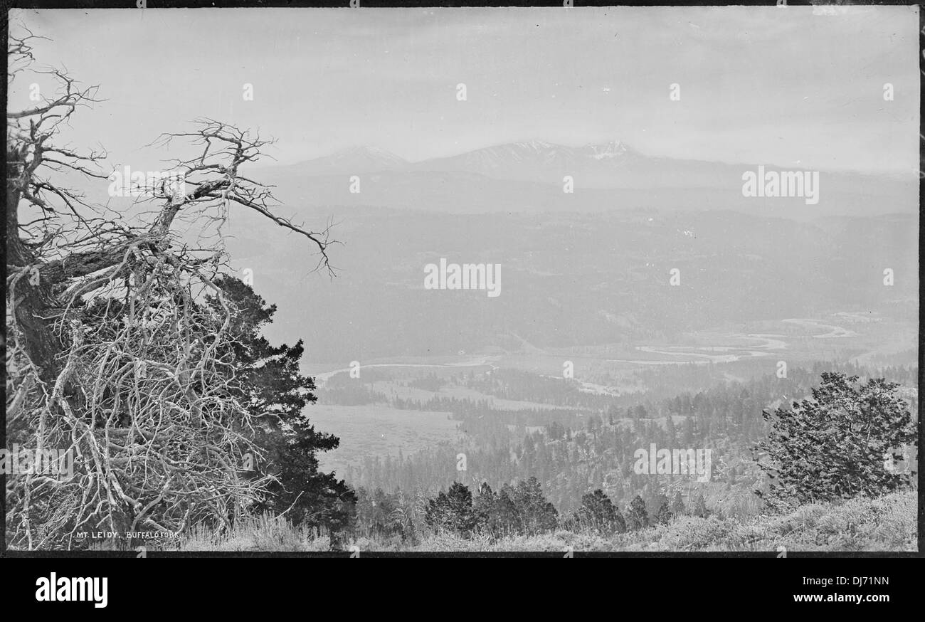 Buffalo fork lincoln county hi-res stock photography and images - Alamy