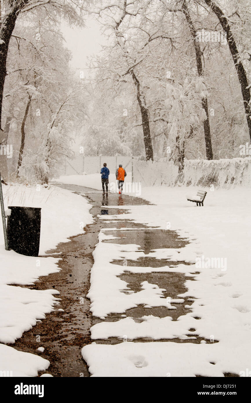 Two runners brave a spring snow storm along a running path with tall ...