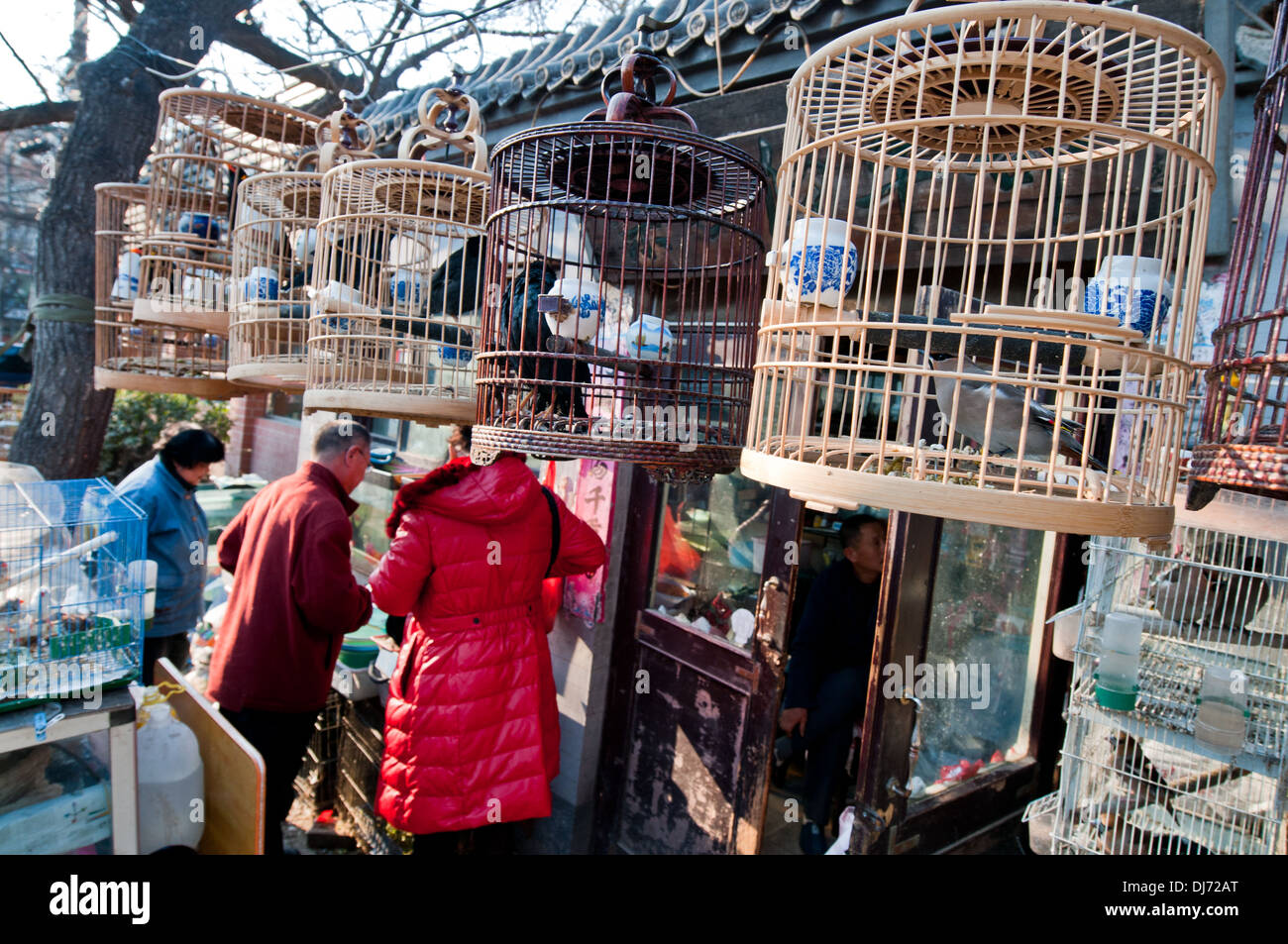 Birdcages in front of pet shop in WenChengXiang hutong in Beijing ...