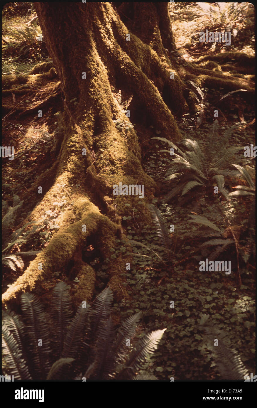 Annual rainfall hi-res stock photography and images - Alamy