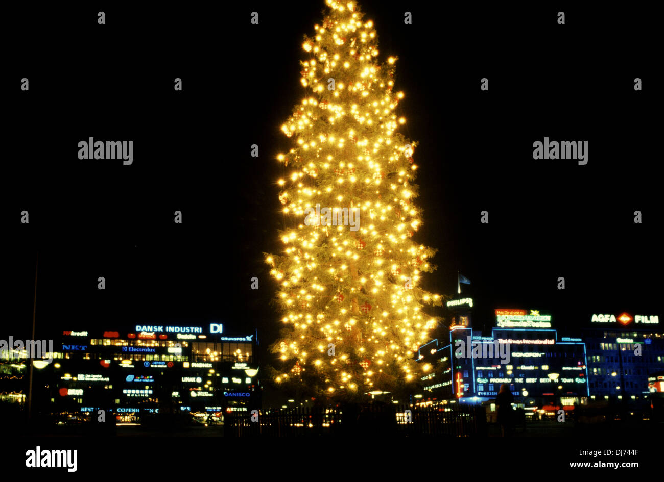 Christmas tree lit up at night Copenhagen Denmark Stock Photo - Alamy