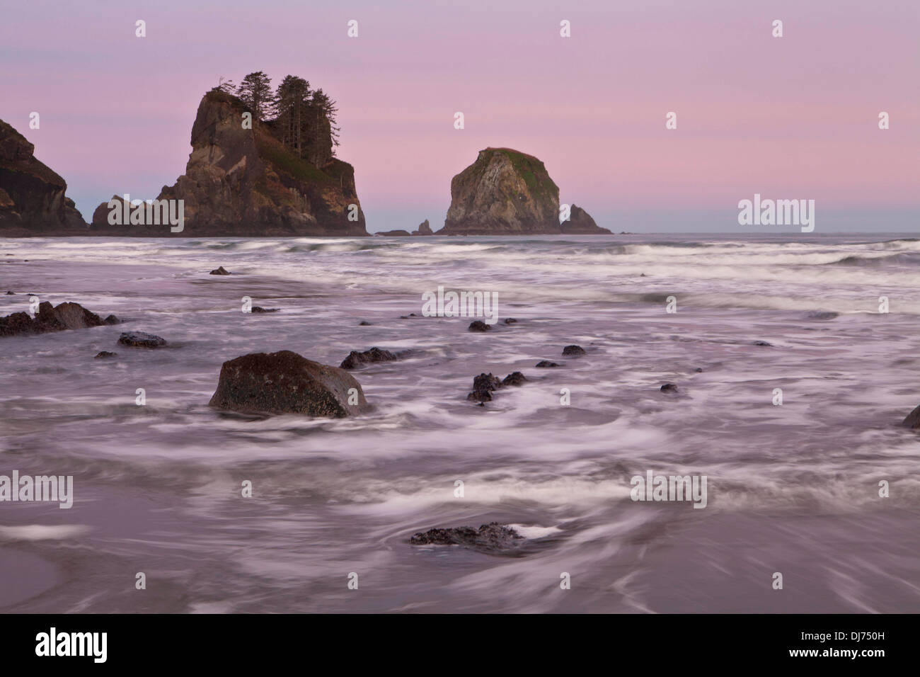 Point of the Arches at dawn, Shi Shi Beach, Olympic National Park ...