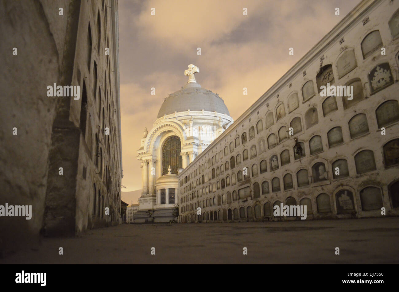 Presbitero maestro cemetery hi-res stock photography and images - Alamy