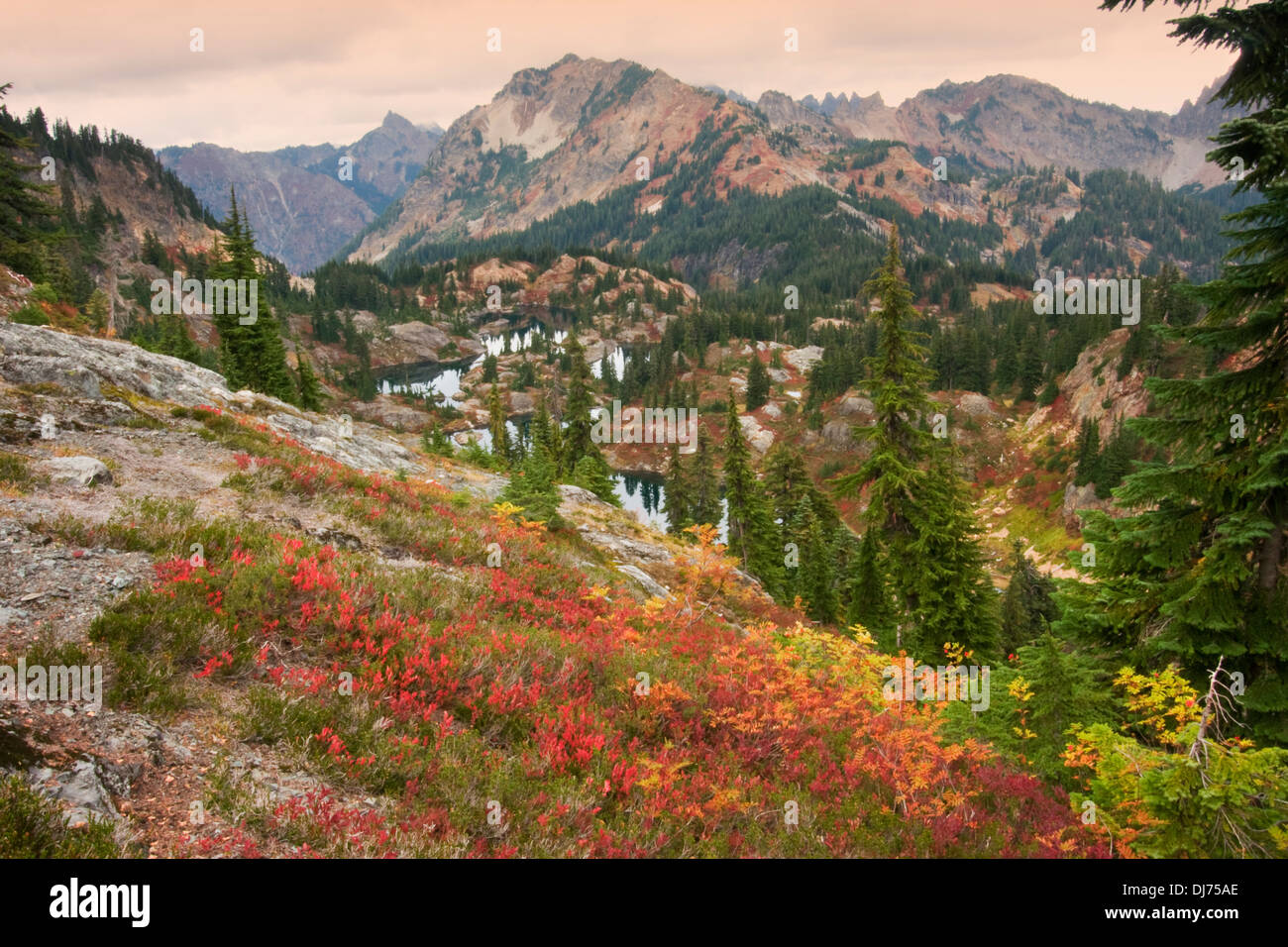 Alta Mountain and Rampart Lakes amidst fall colors, Alpine Lakes ...