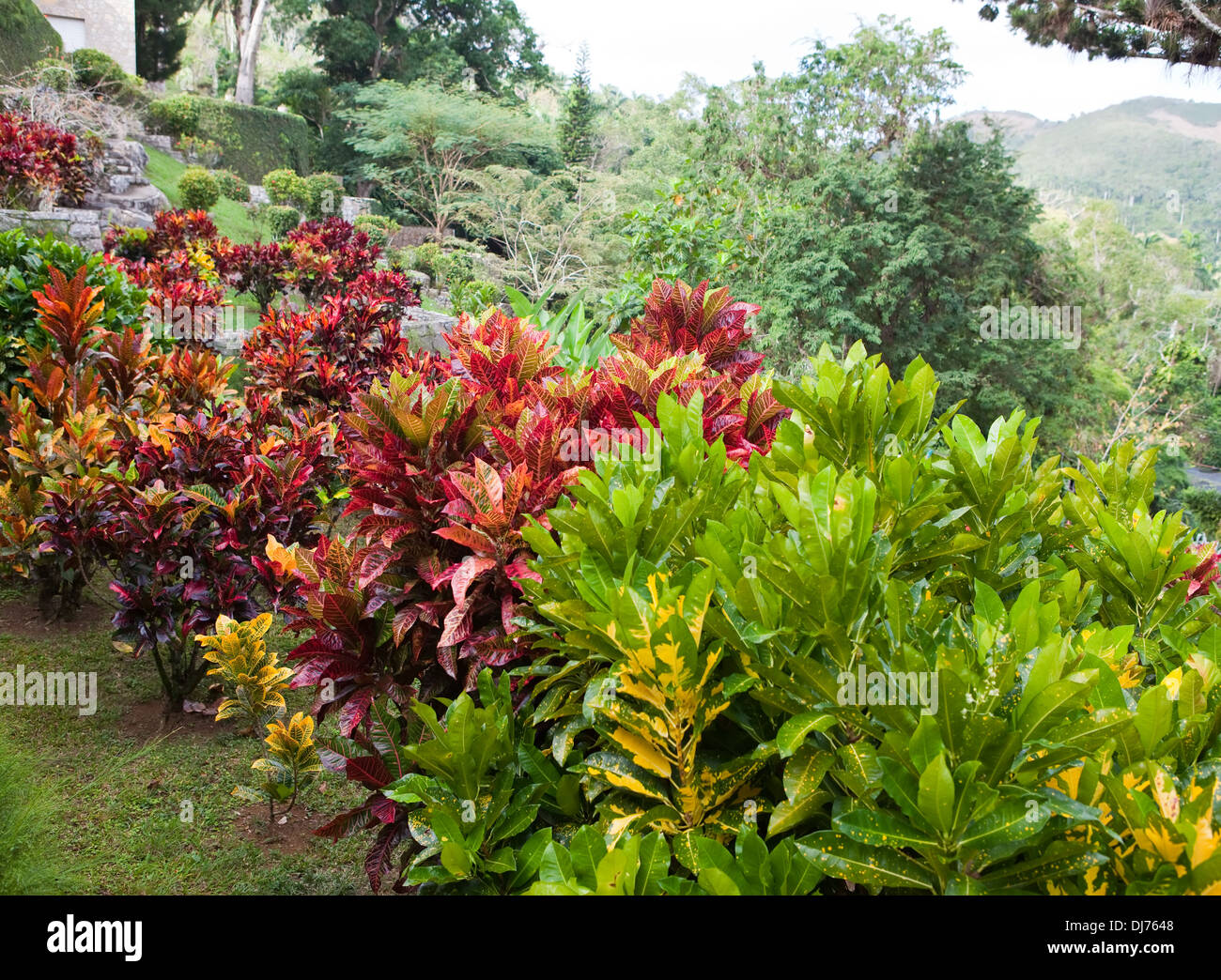 Orquideario soroa hi-res stock photography and images - Alamy