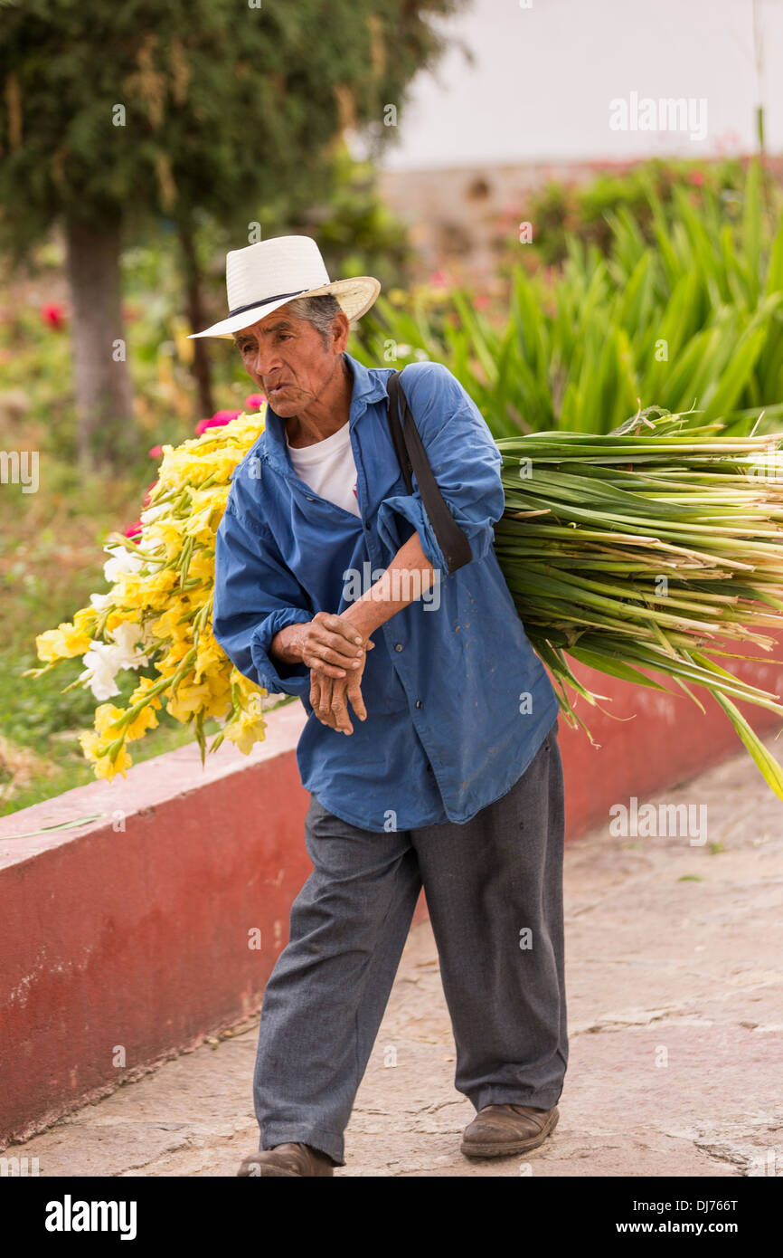 Zapotec man carries flowers hi-res stock photography and images - Alamy
