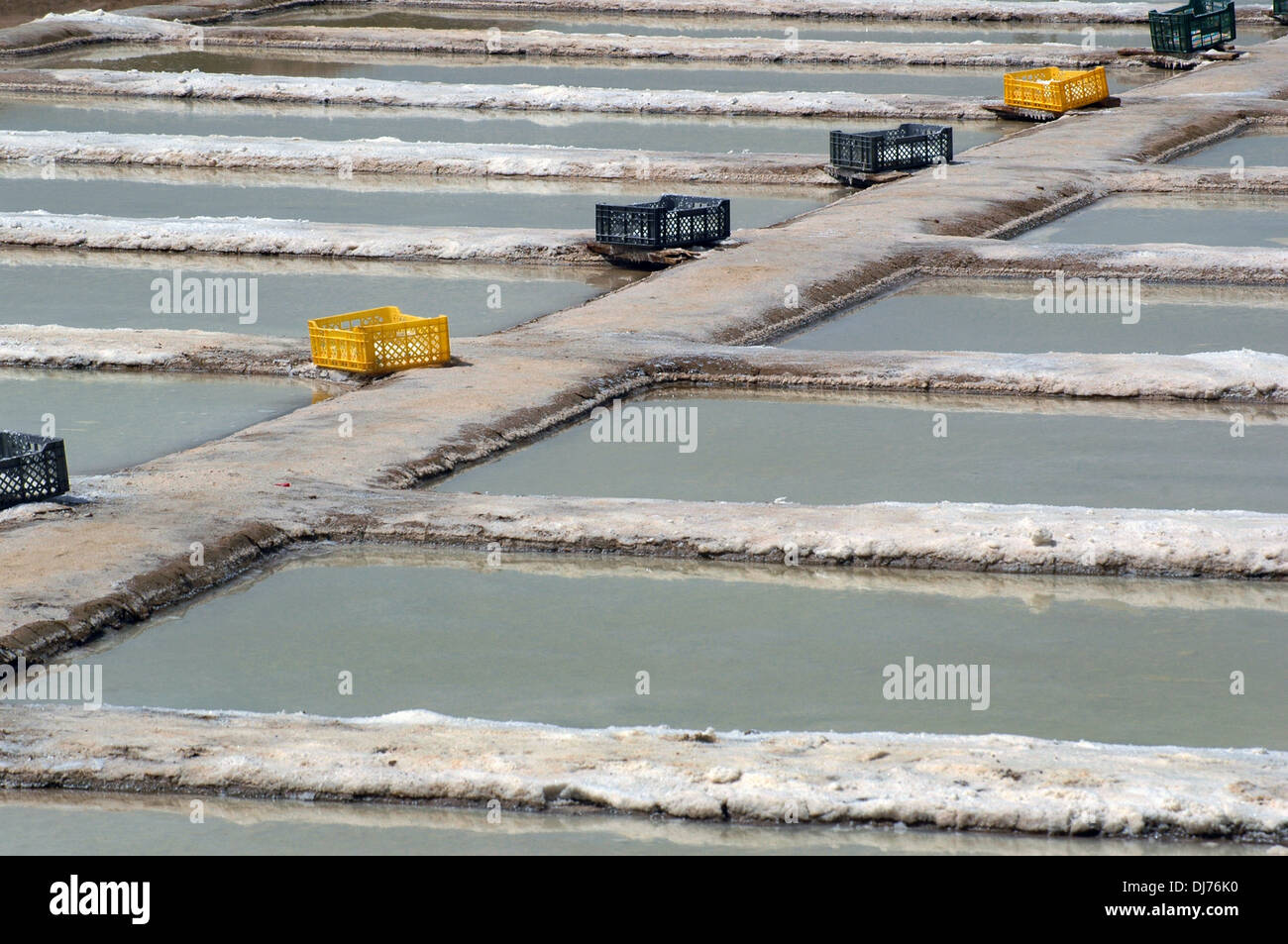 Salt pans ditches for premium quality sea salt situated on the Atlantic ...